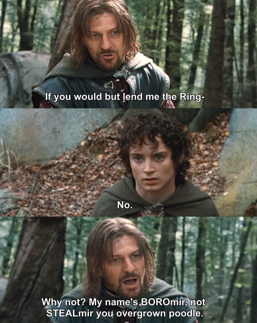 Poodle Baggins | Scrolller