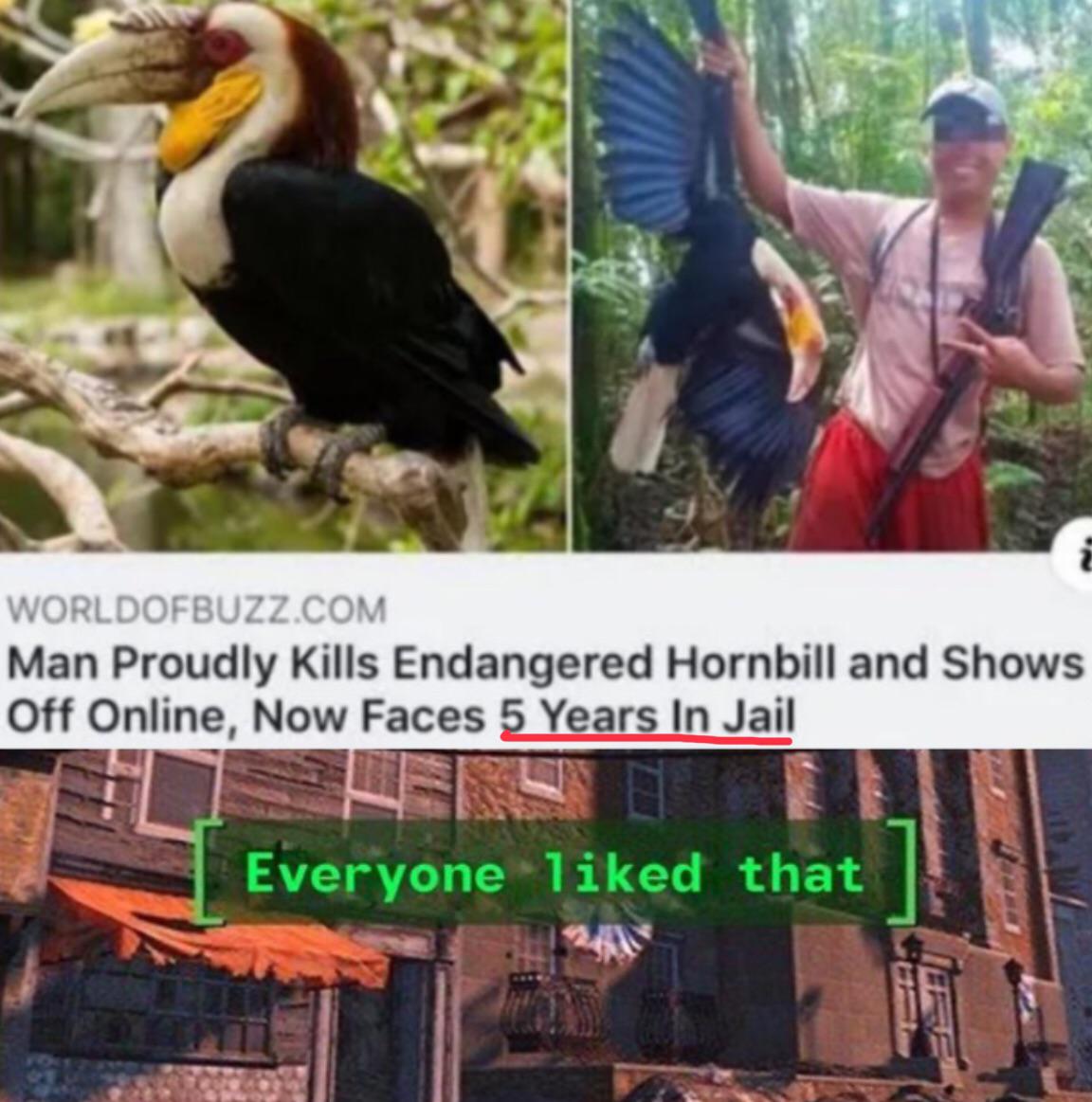Poor Bird Scrolller