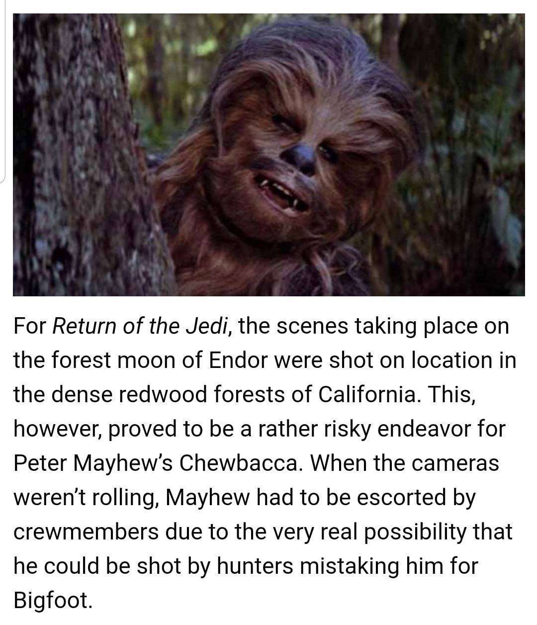 Poor Chewbacca | Scrolller