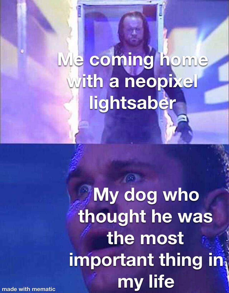 Poor doggy | Scrolller