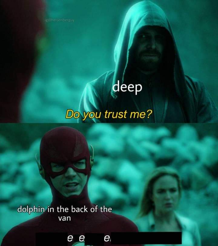 Poor dolphin | Scrolller