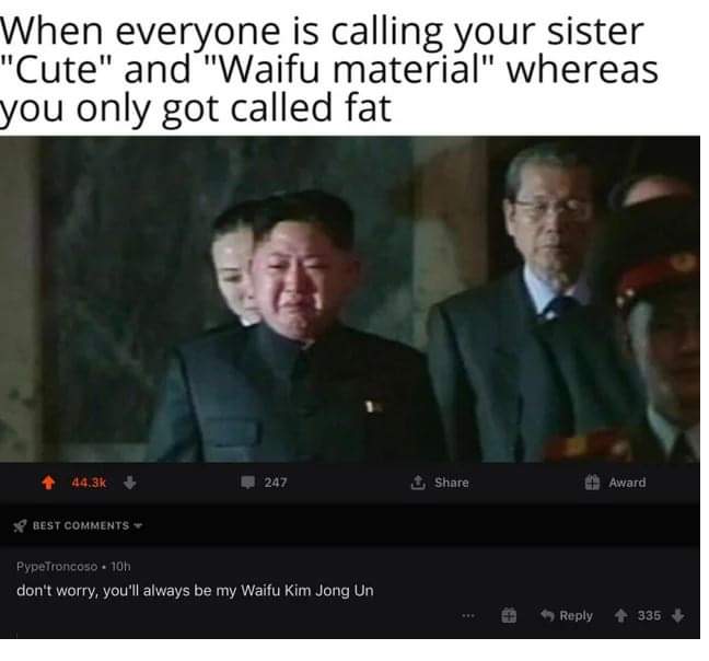 Poor Kim Jong un senpai! | Scrolller