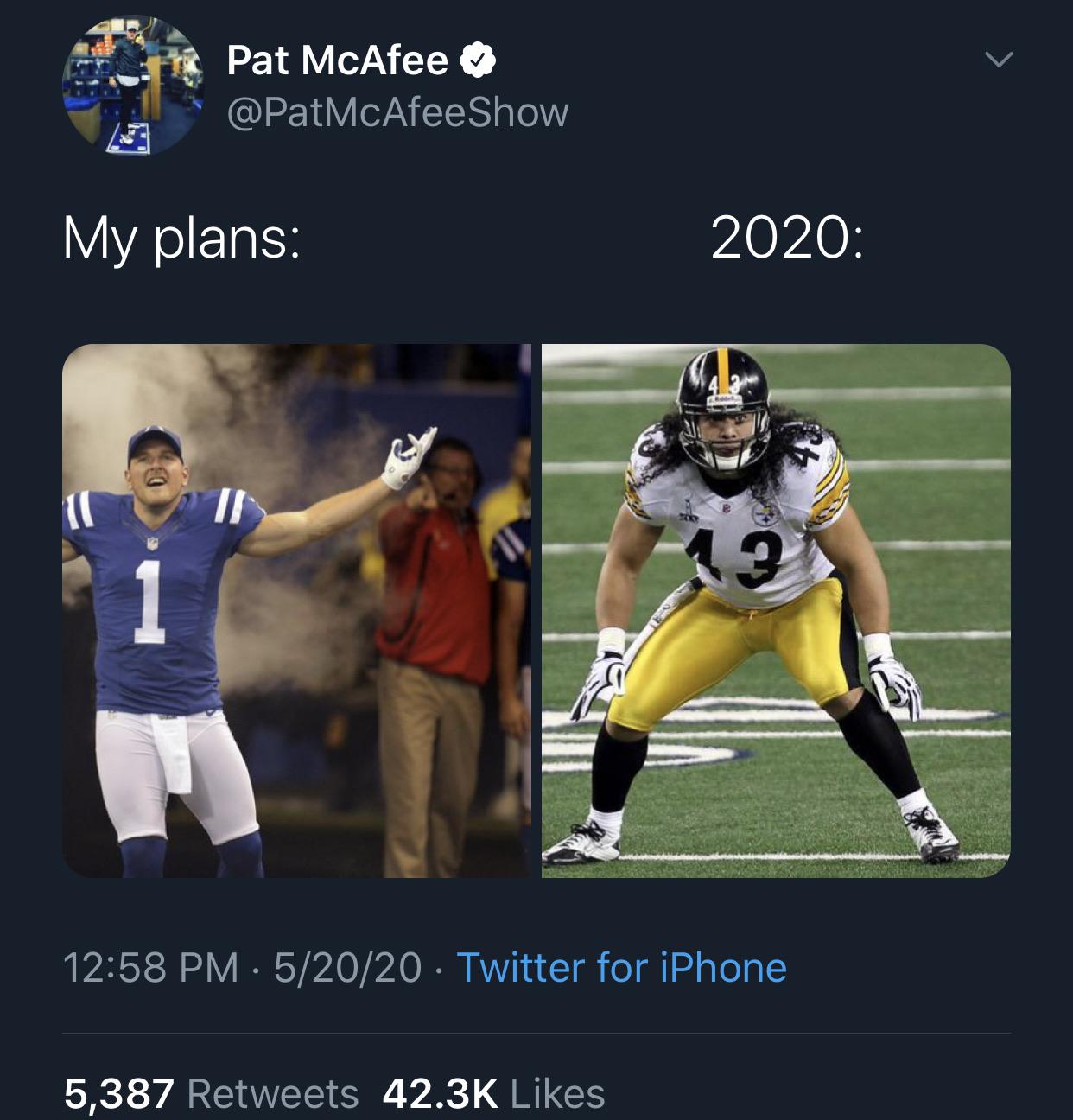 Poor Pat | Scrolller