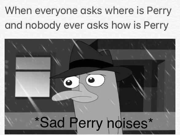 Poor Perry | Scrolller