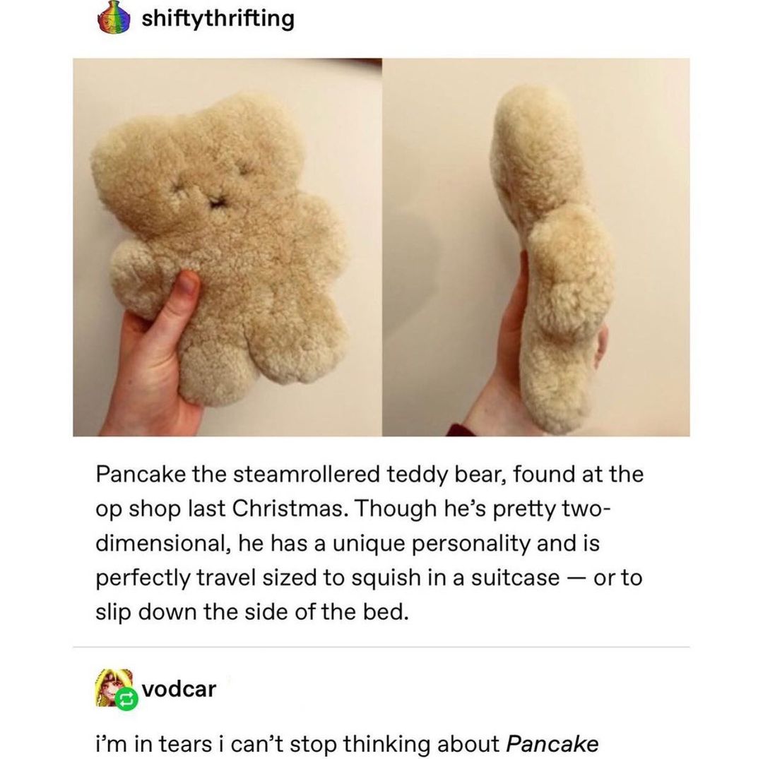 Poor squashed bear. | Scrolller