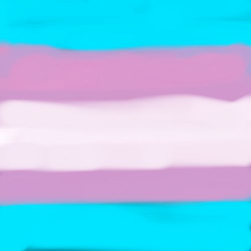 poorly drawn trans flag | Scrolller