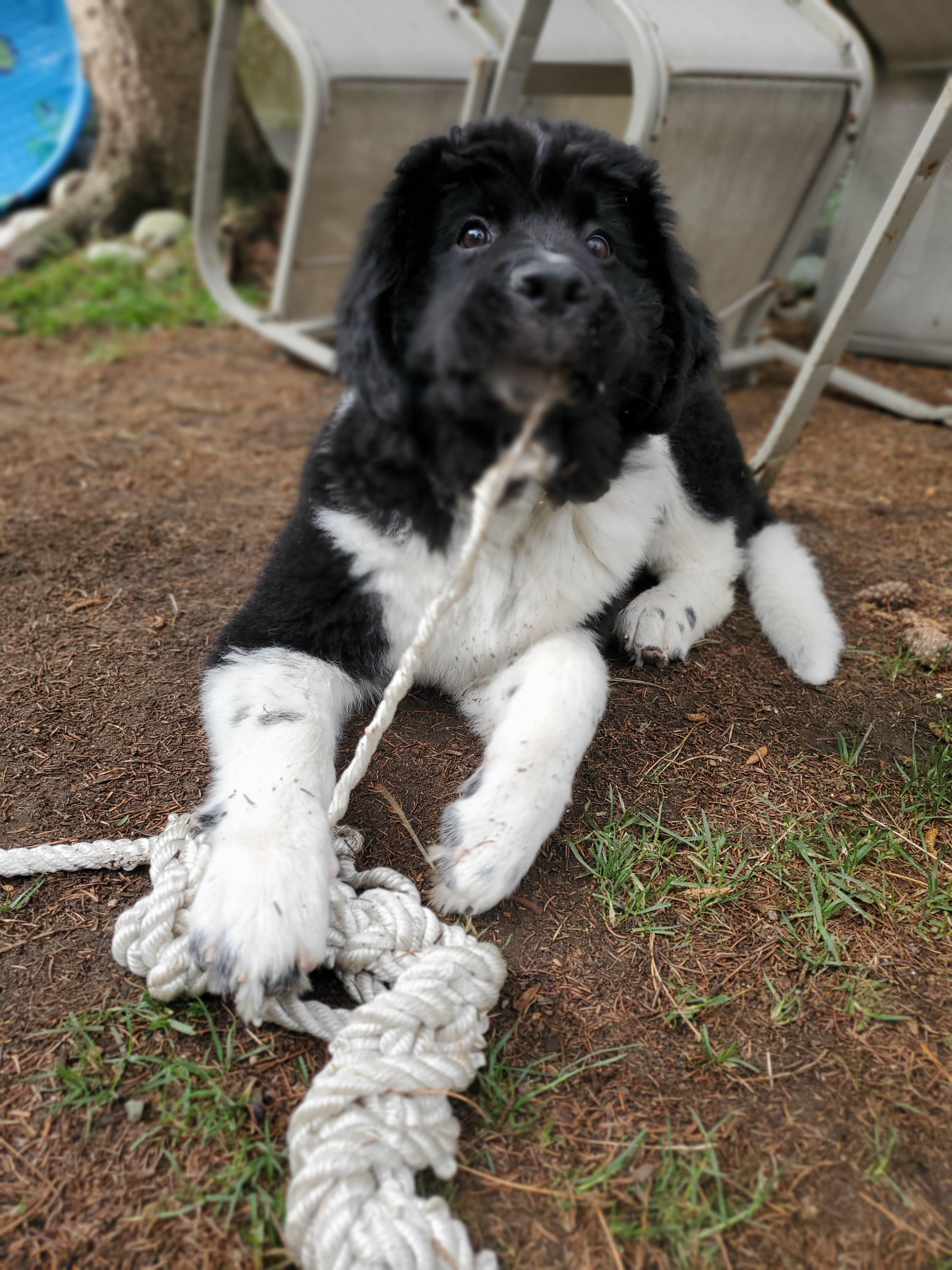 Portrait mode made this extra cute! | Scrolller