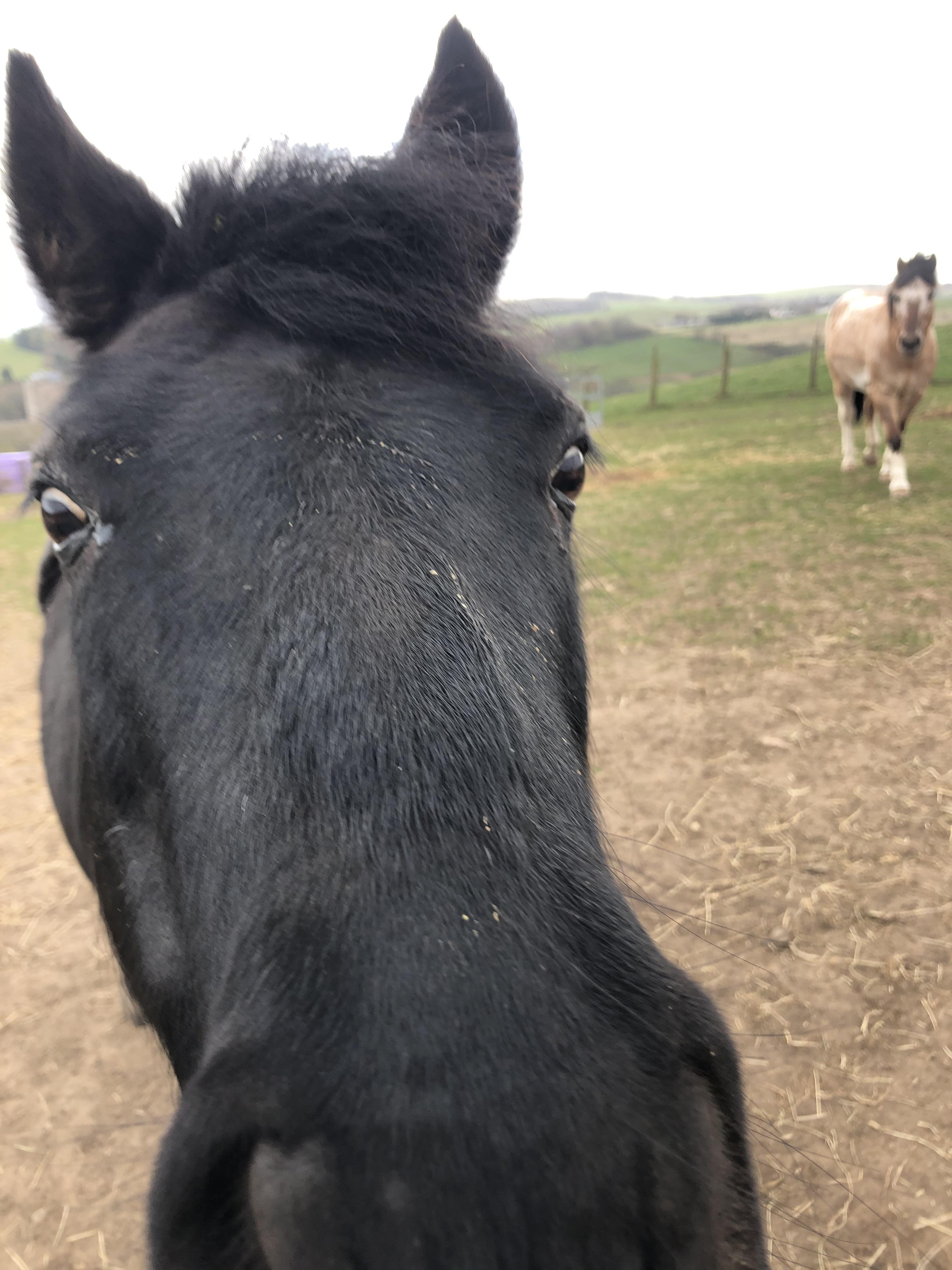 Posing for the camera | Scrolller