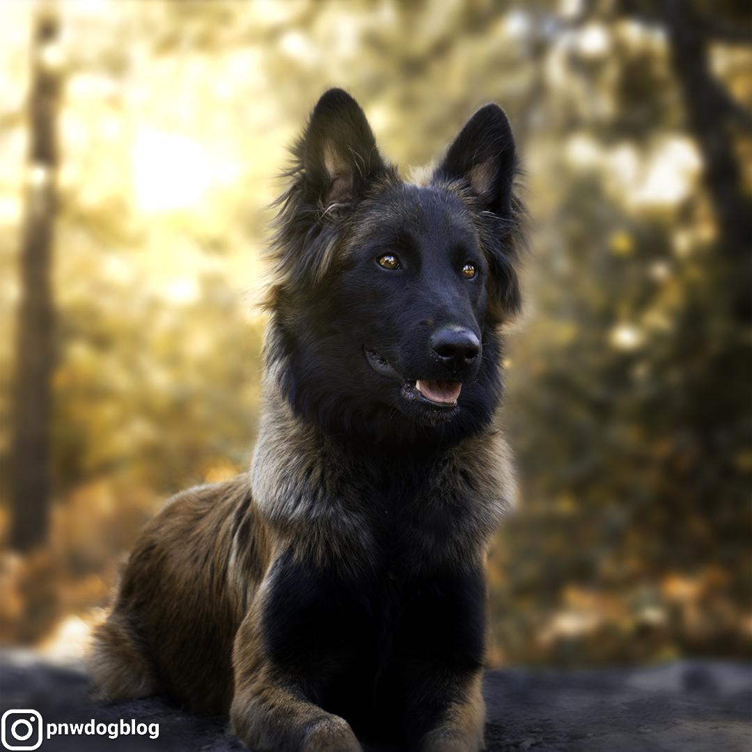 Posing for the camera | Scrolller