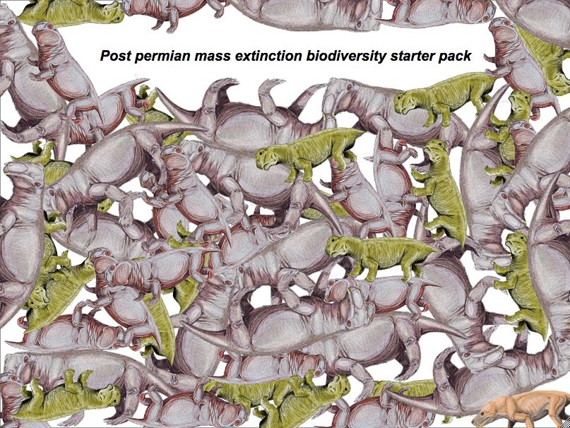 Post permian mass extinction biodiversity starter pack | Scrolller