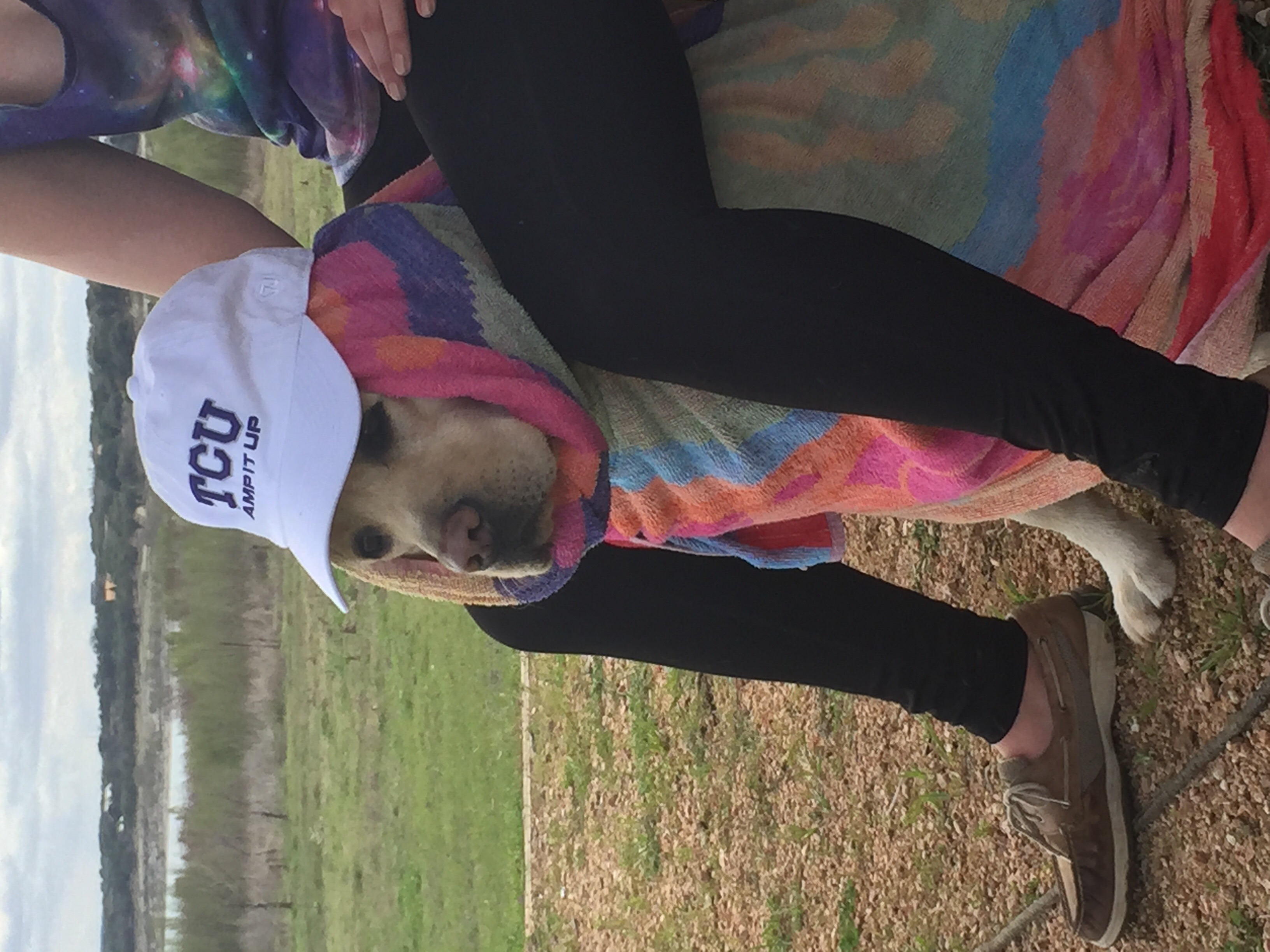 Post-swim doggo | Scrolller