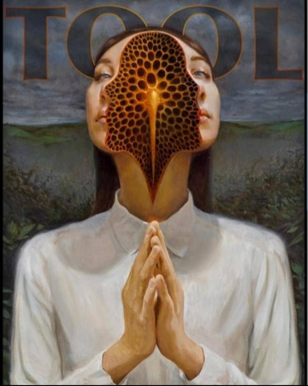 Poster for a Tool show on their current tour. Thought it belonged here | Scrolller