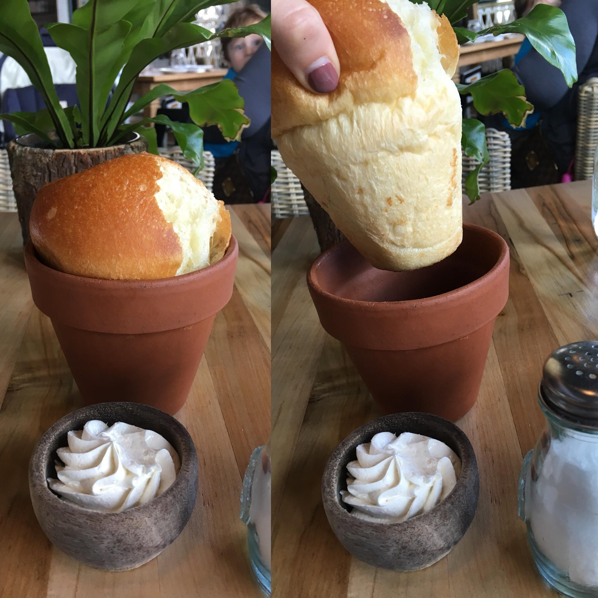 Potted Bread | Scrolller