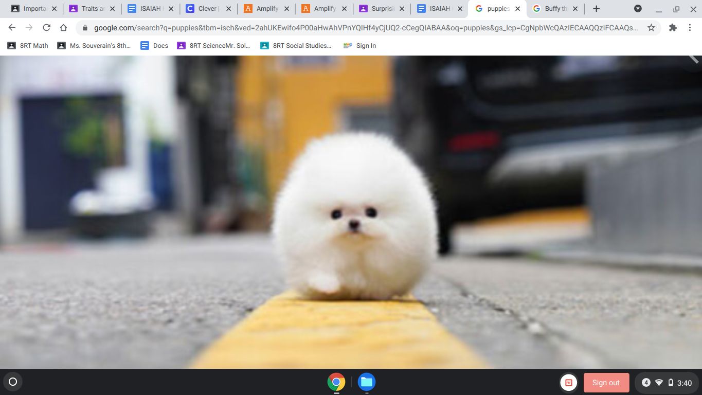 POV: MONSTER IS CHASING YOU | Scrolller