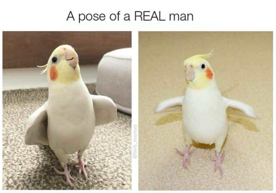 Power stance | Scrolller