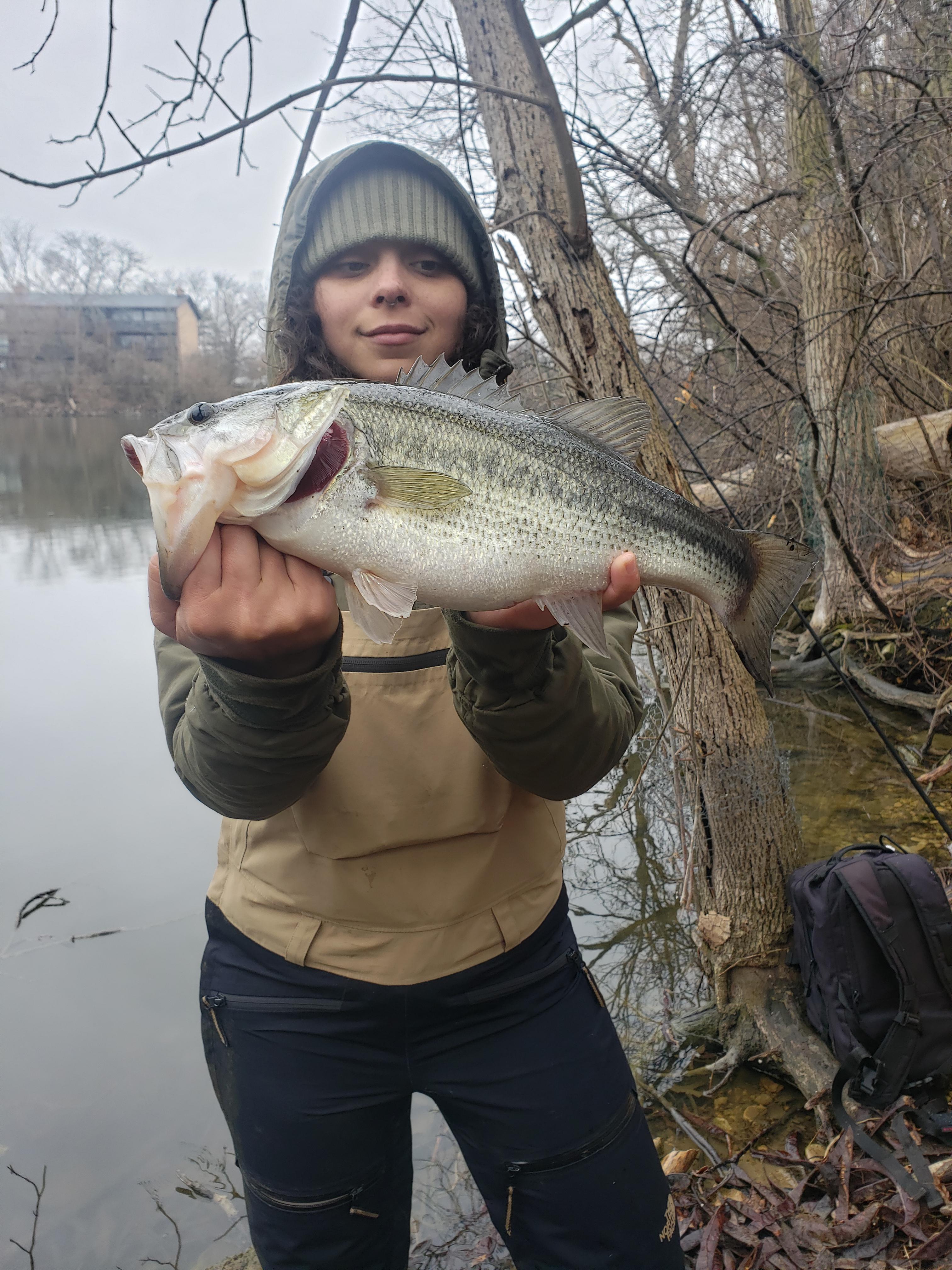 Pre spawn chasing the shad | Scrolller