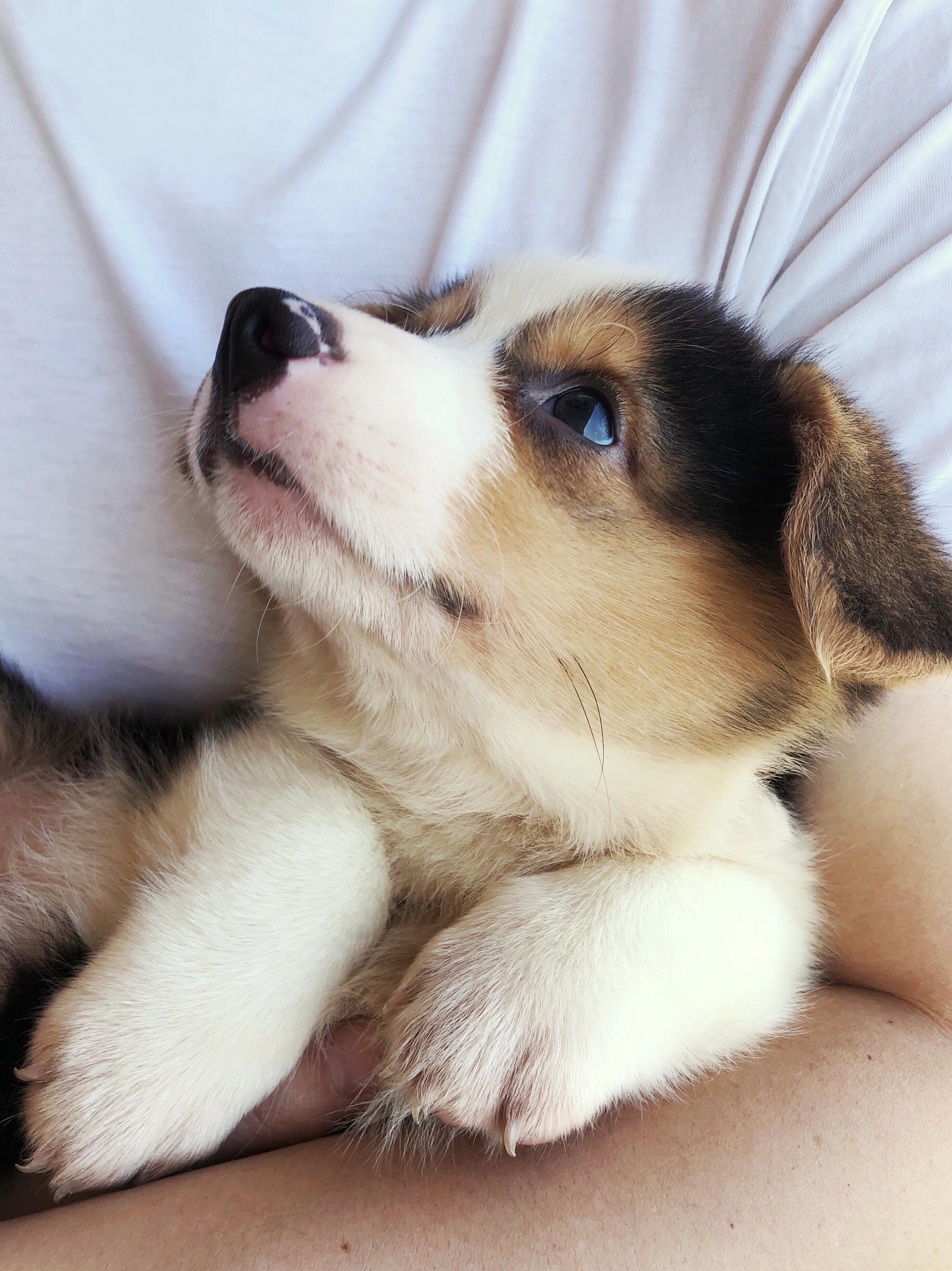 Precious | Scrolller