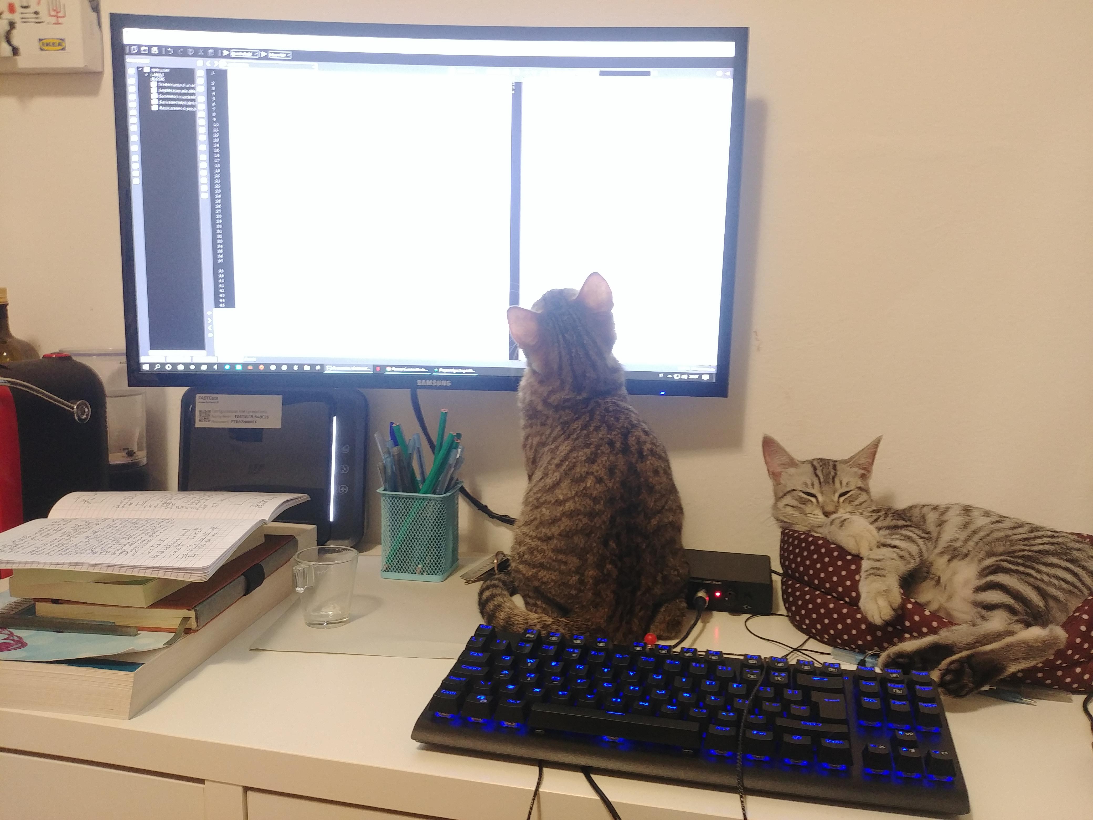 Prepare for trouble and make it double | Scrolller