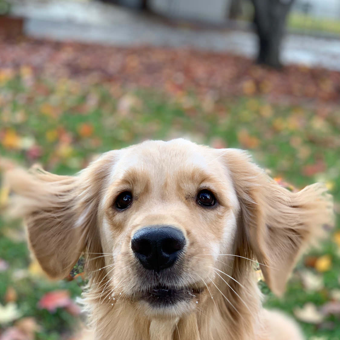 preparing for takeoff! | Scrolller