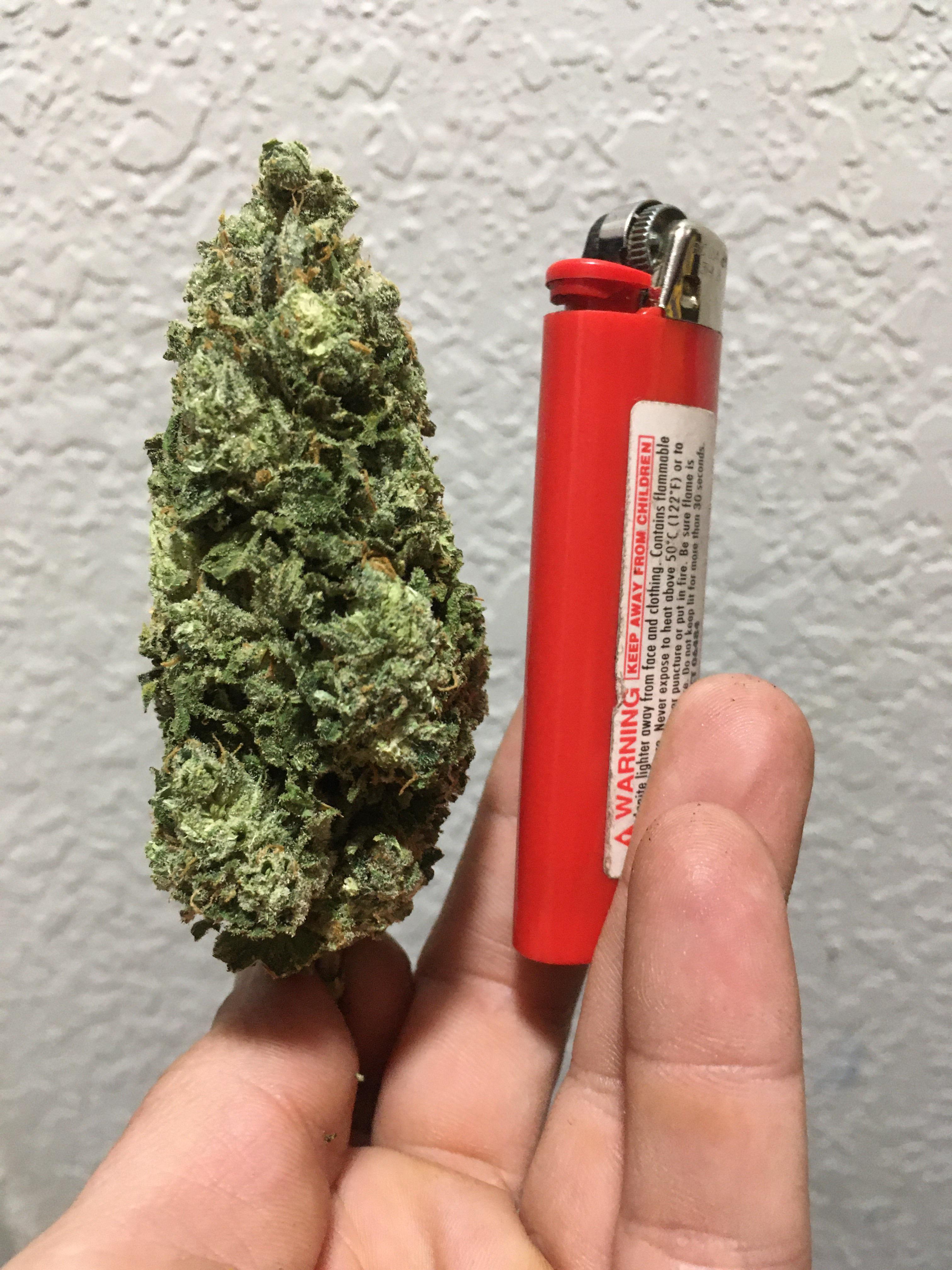 Presidential OG Kush | Scrolller