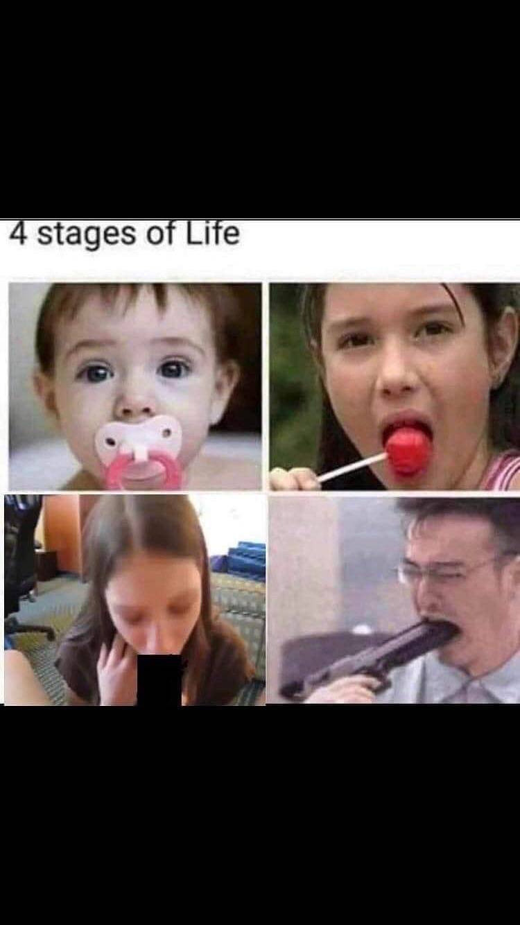 Pretty accurate. | Scrolller