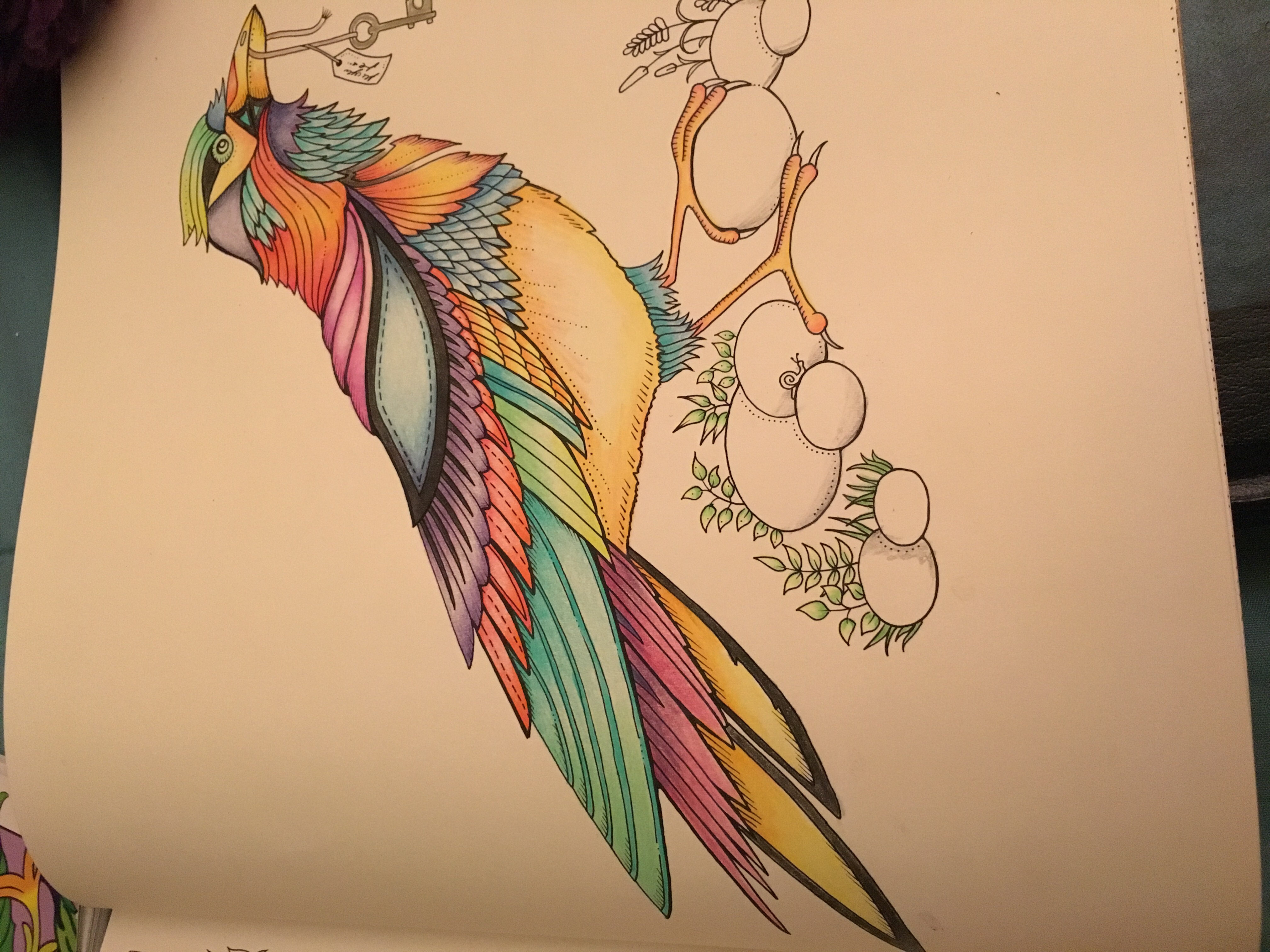 Pretty bird! | Scrolller