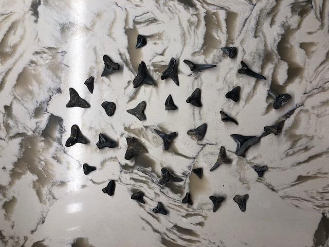 pretty good haul today | Scrolller