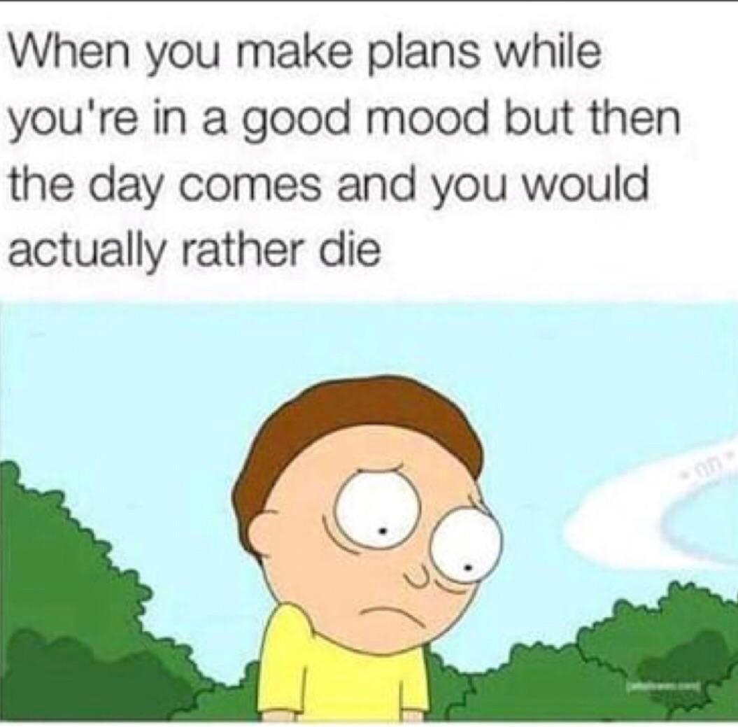 Pretty much | Scrolller