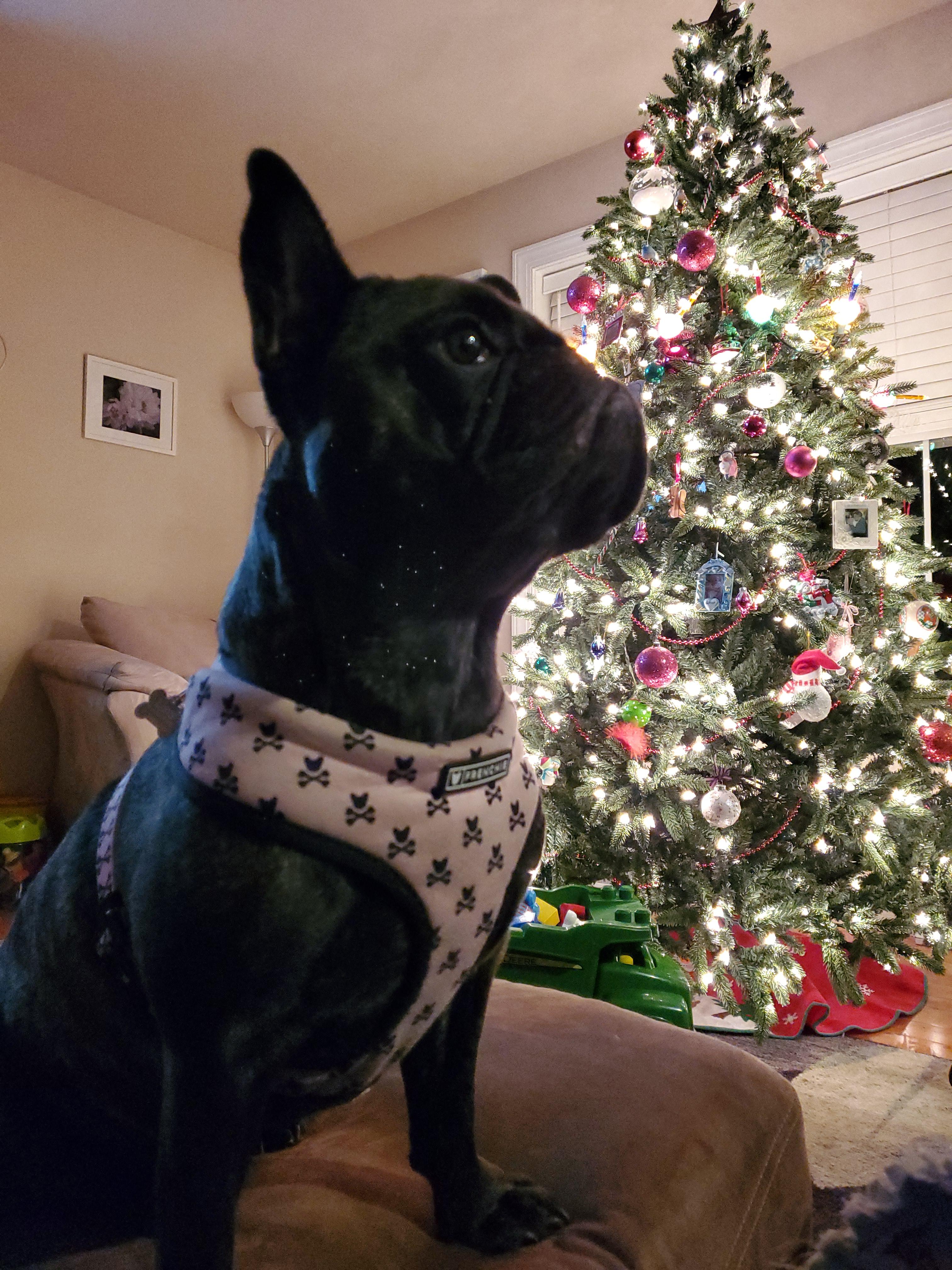 Pretty pretty princess. | Scrolller