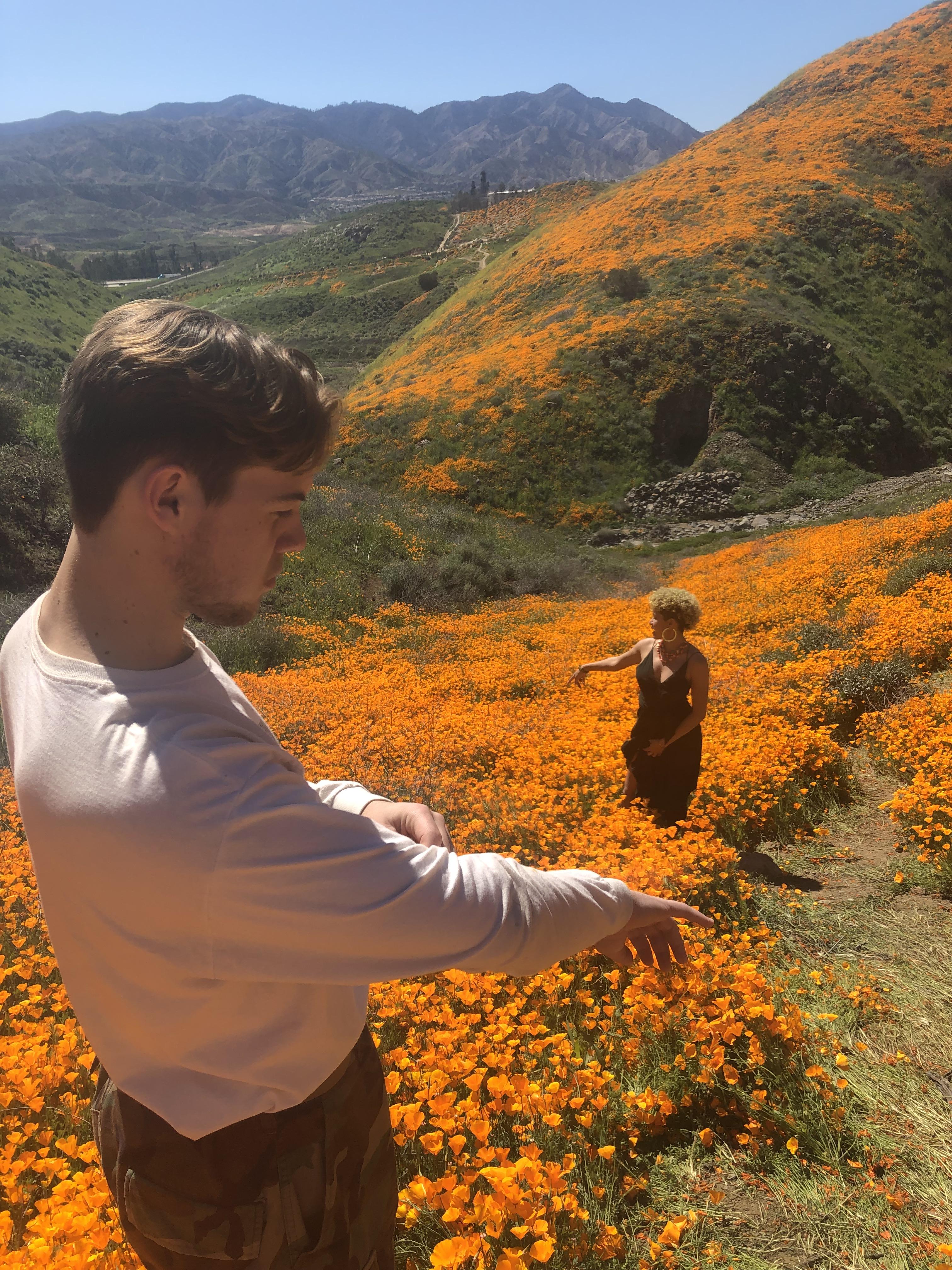 Primavera. It finally feels like spring here | Scrolller