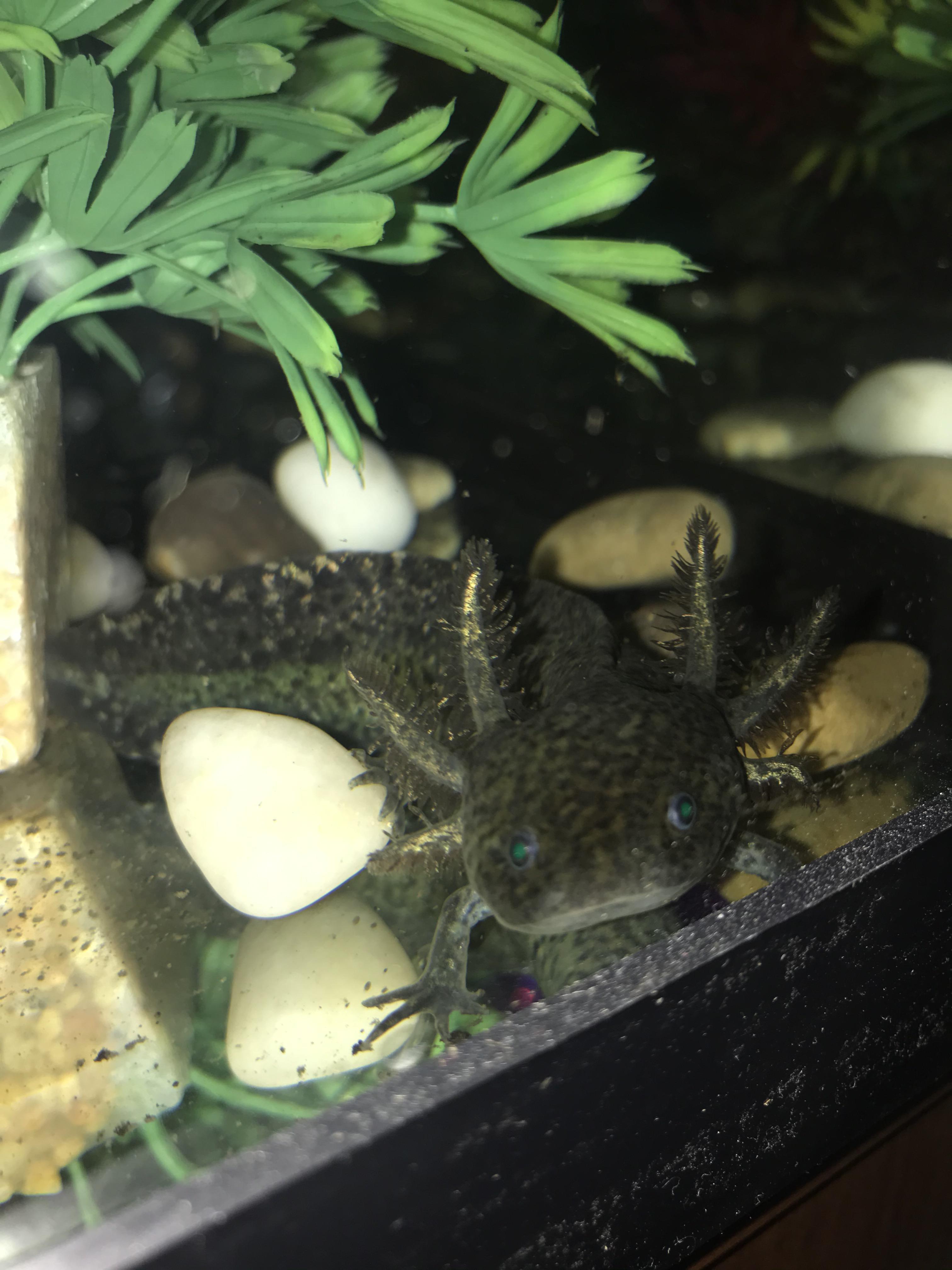 Princess Humphrey is always ready for her closeup! 😍 | Scrolller