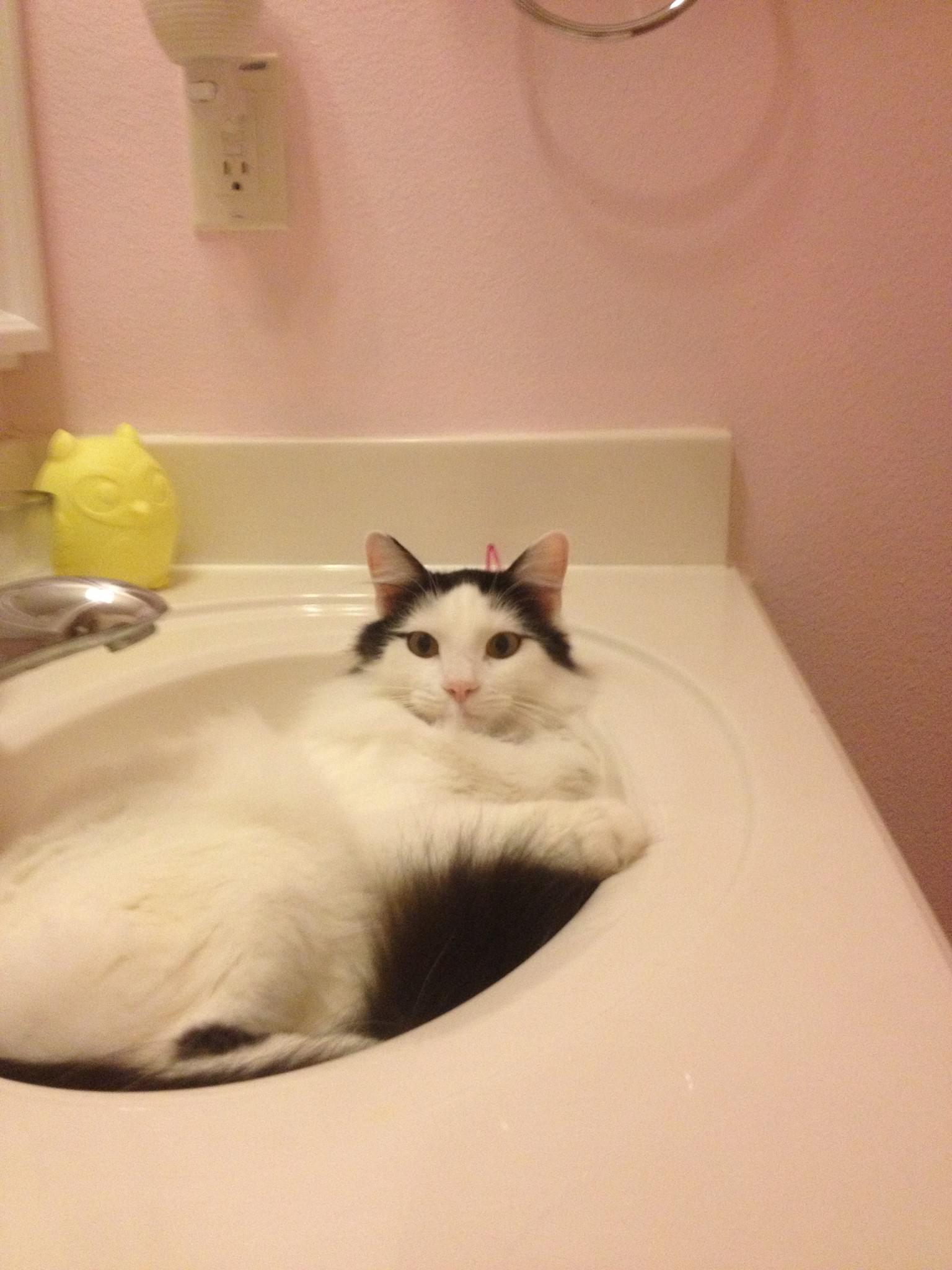 Privacy, PLEASE | Scrolller