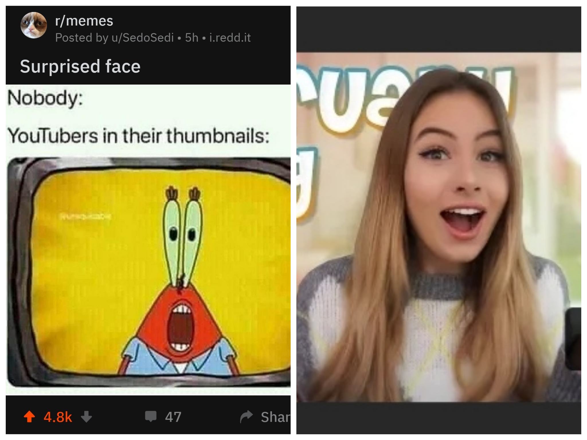 Pro Youtuber btw 👌 | Scrolller