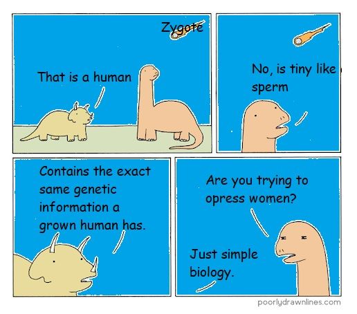 Prochoice logic | Scrolller