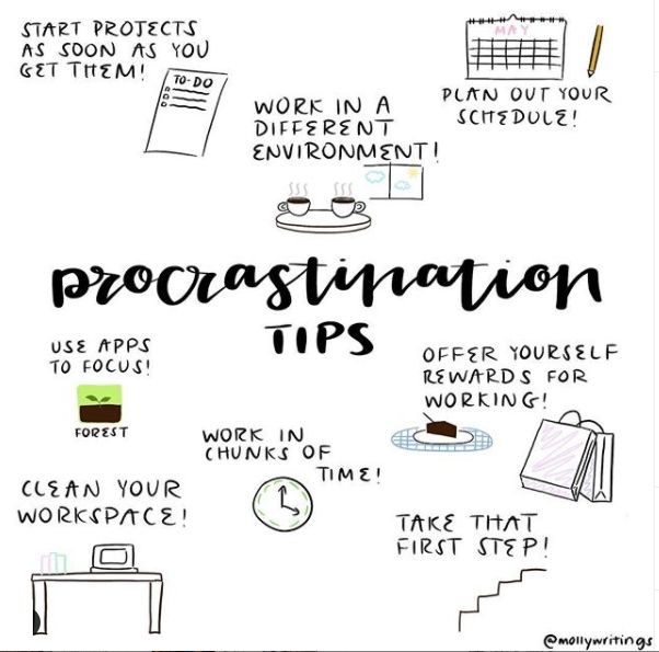 Procrastination Tips | Scrolller