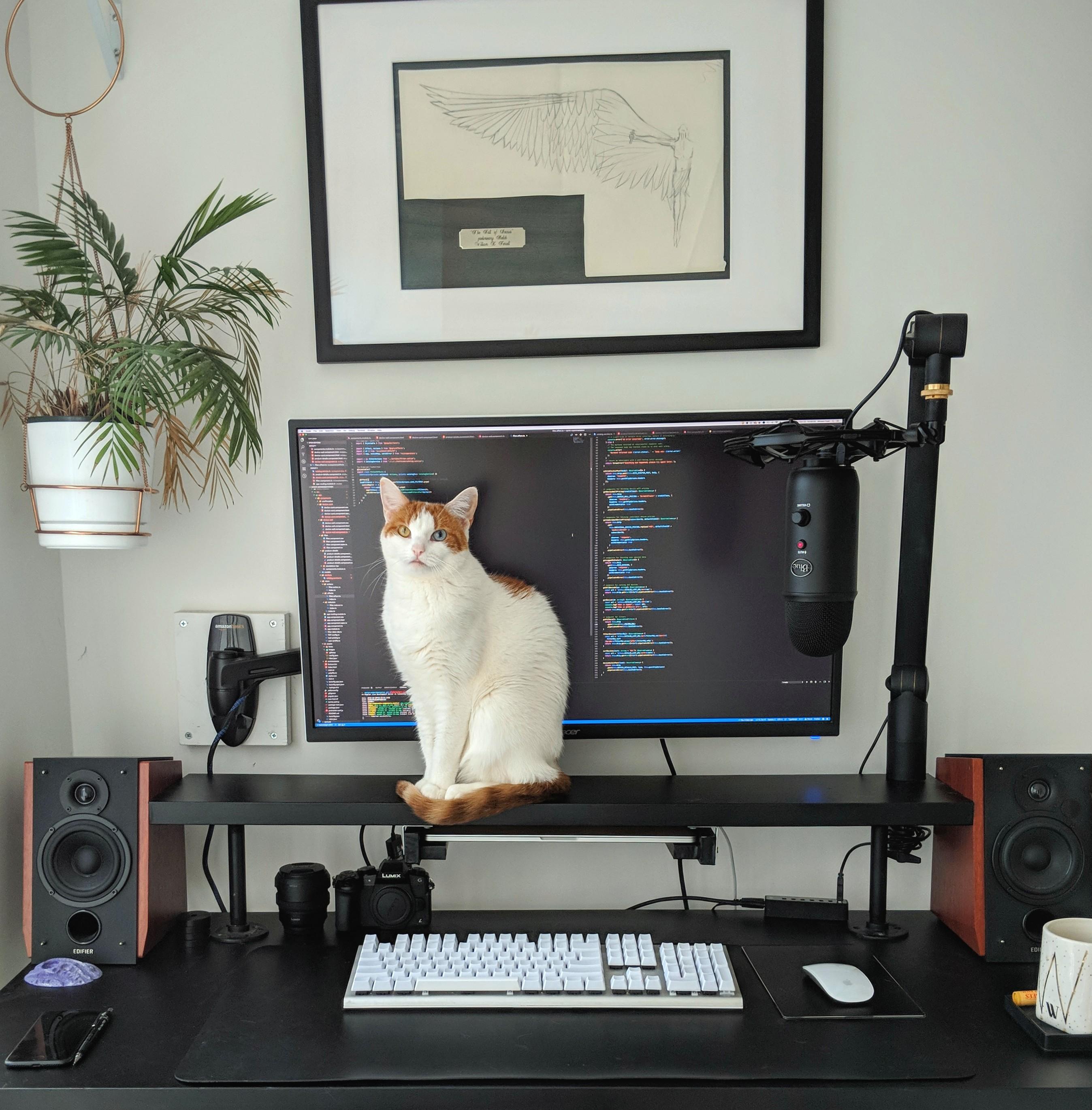 "Productivity" setup | Scrolller