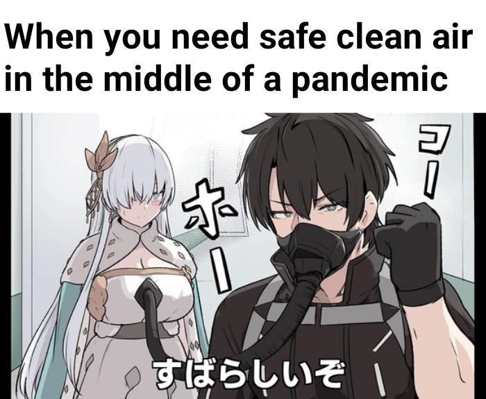 Professionals have standards | Scrolller