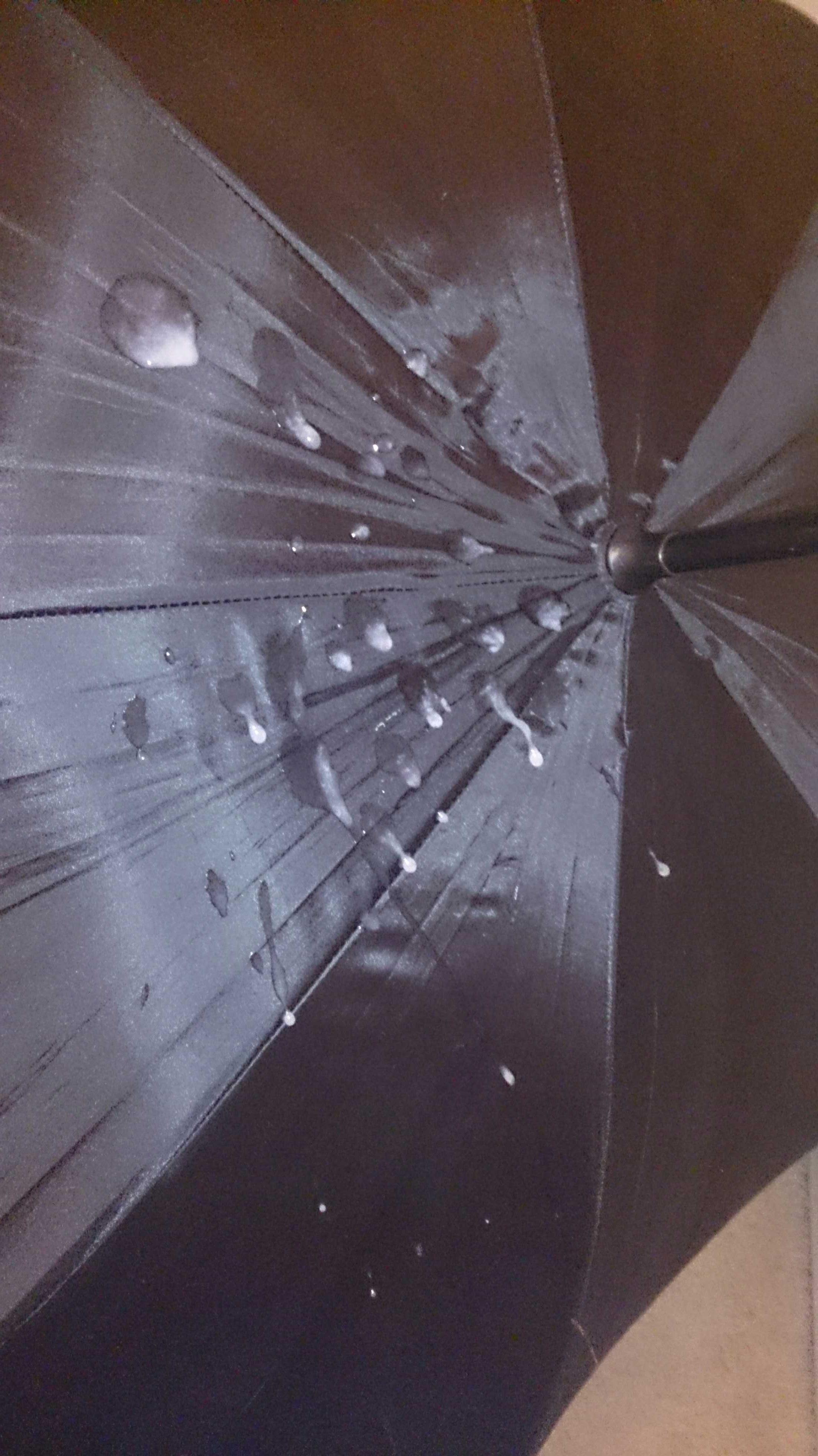 [Proof] Cum on an umbrella (cumbrella). | Scrolller