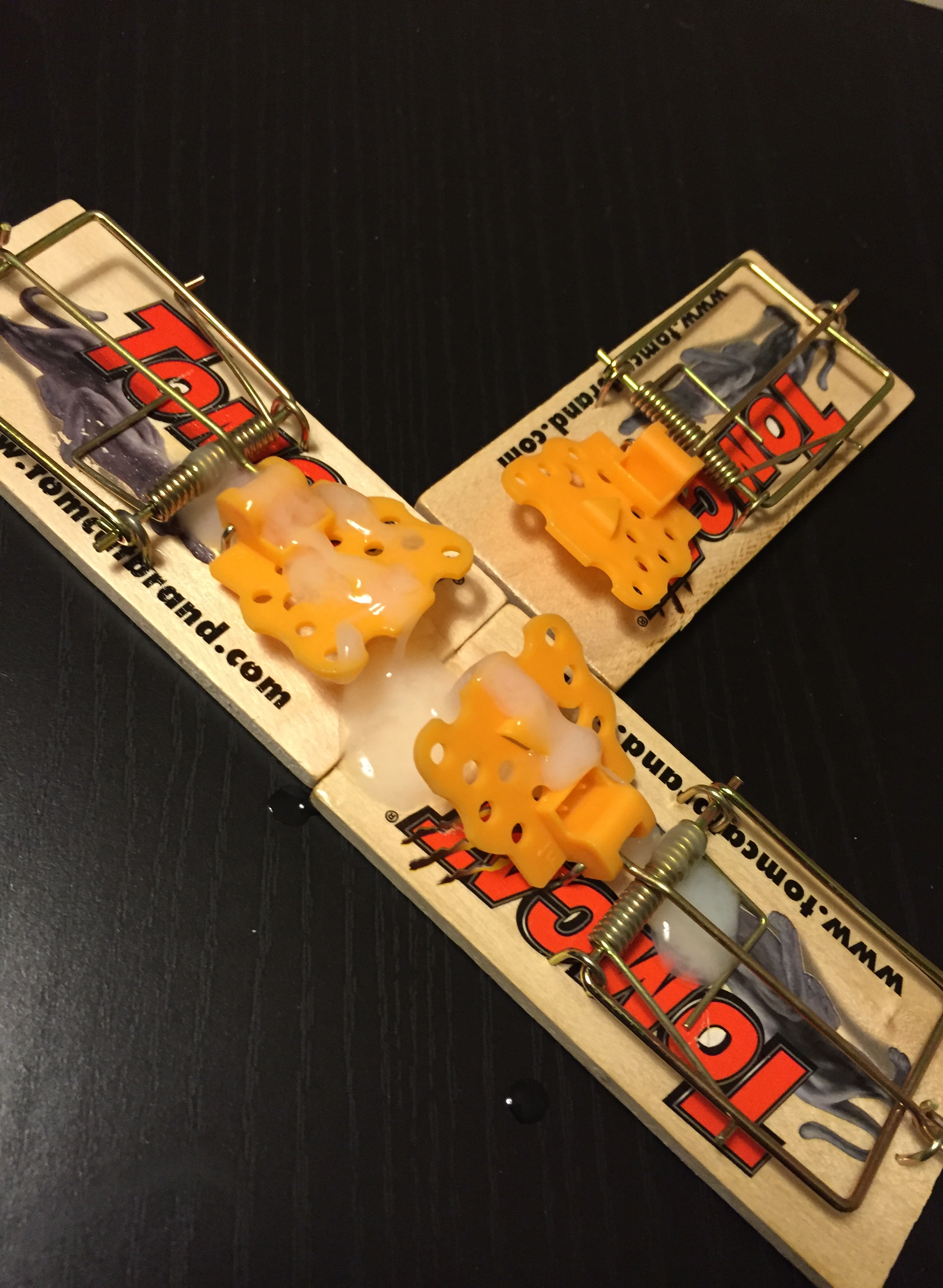 [proof] Set Off A Mouse Trap With Your Cum Challenge Failed Scrolller
