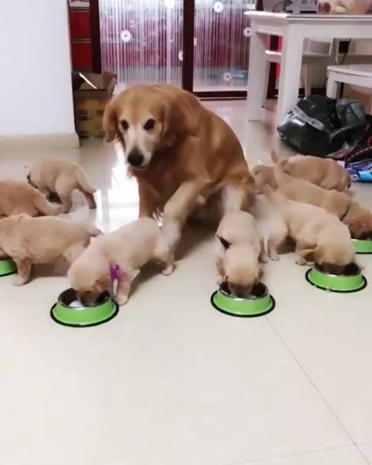 Proud father | Scrolller