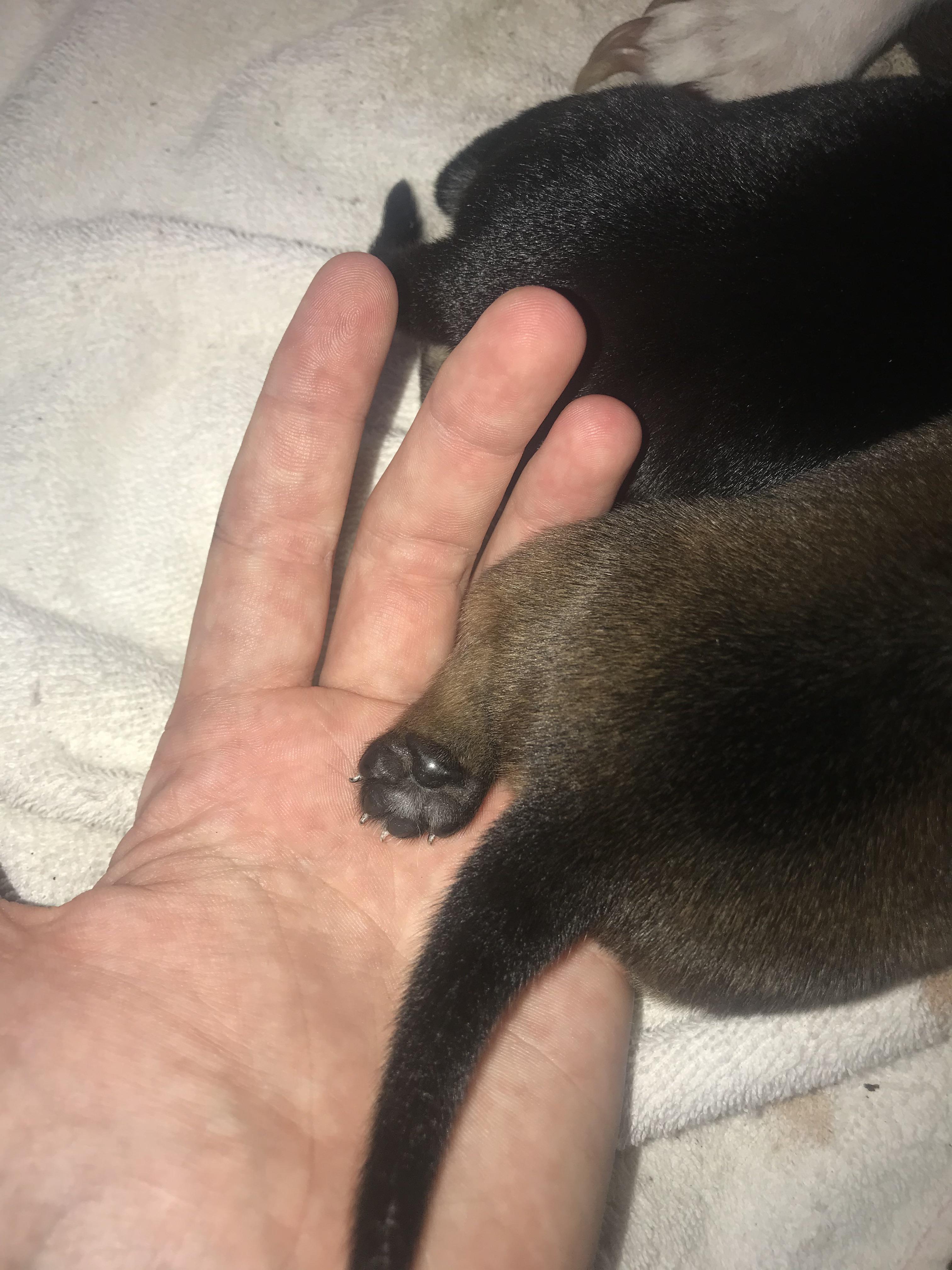 PSA this is very important! look | Scrolller