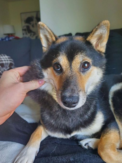 Pulling of the cheeks is a ritual | Scrolller