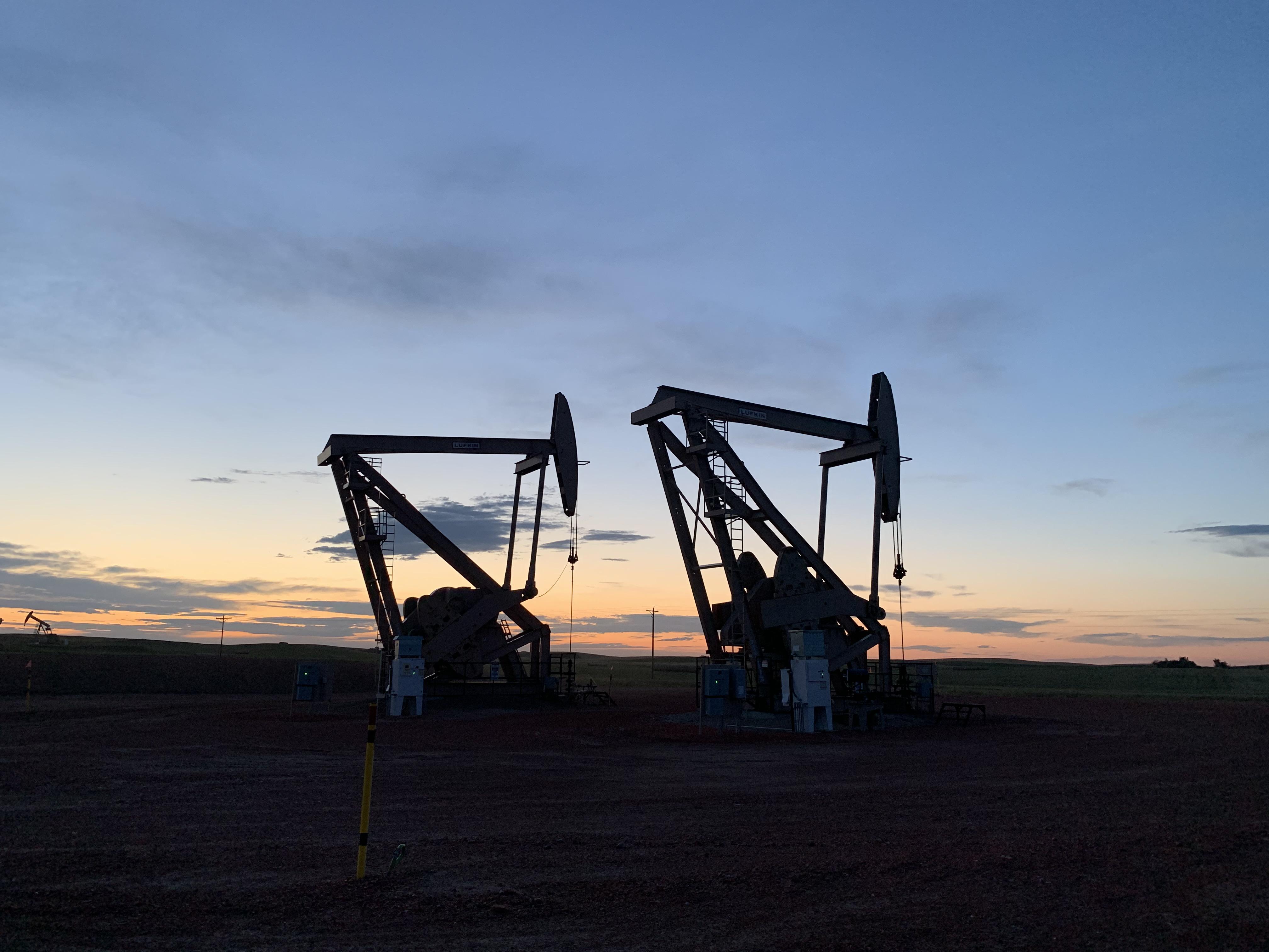 Pumping Ladies | Scrolller