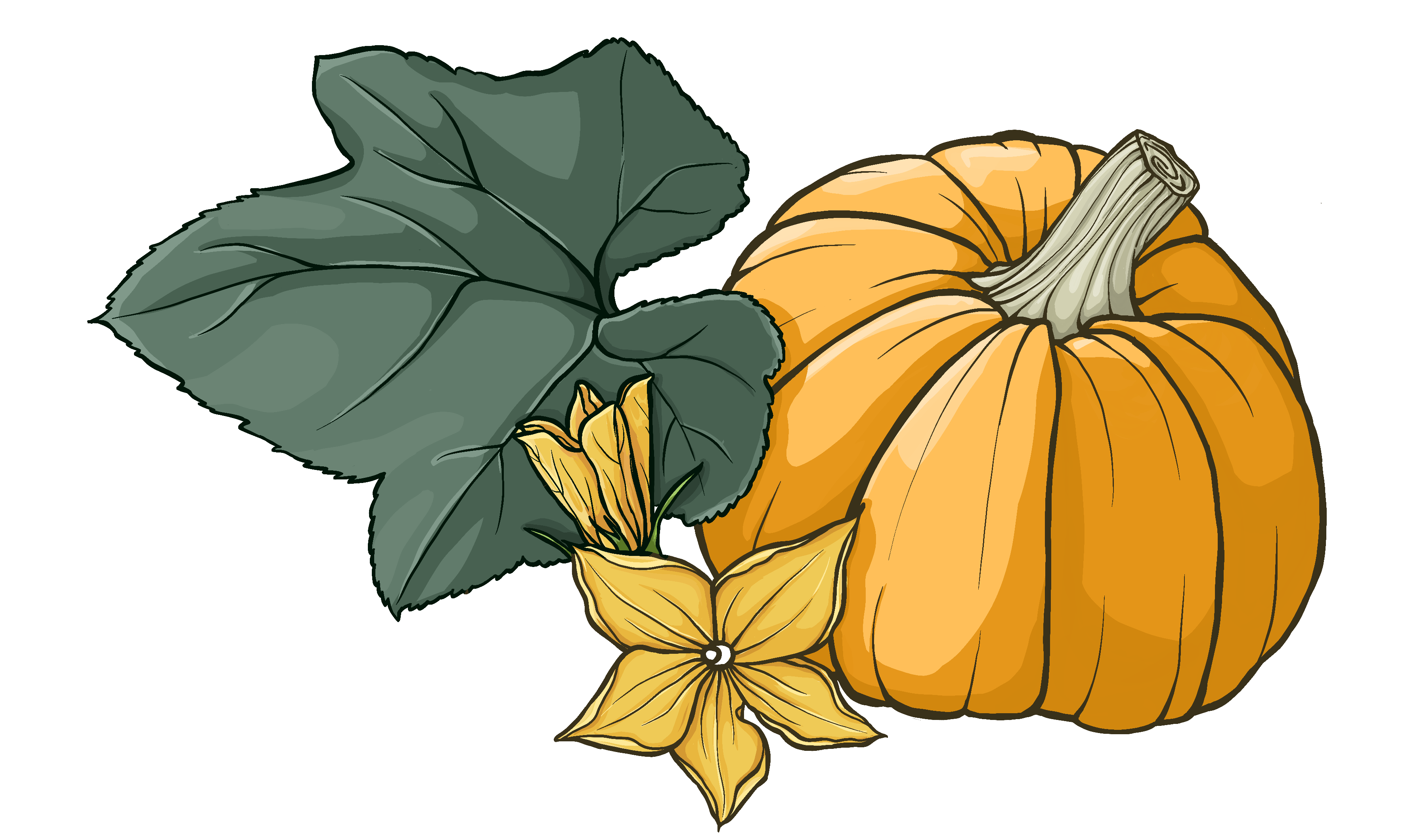 pumpkin, me, digital, 2020 | Scrolller