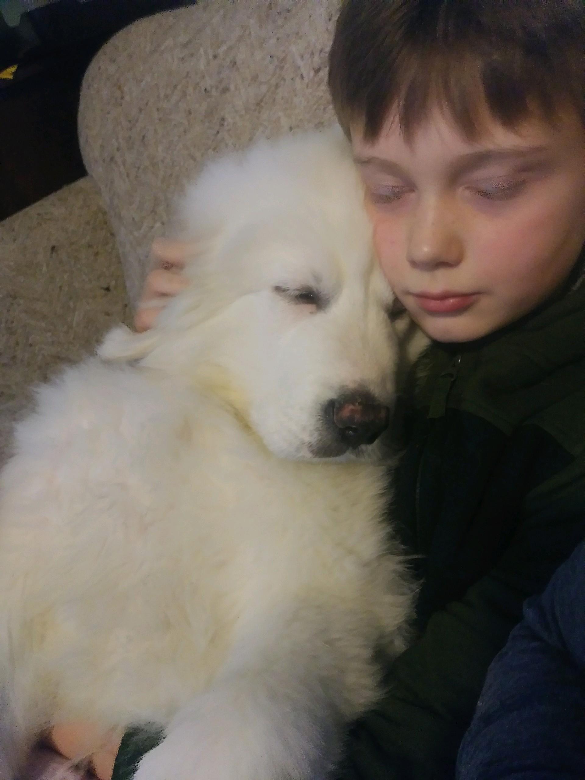 Puppy is settling in quite well | Scrolller