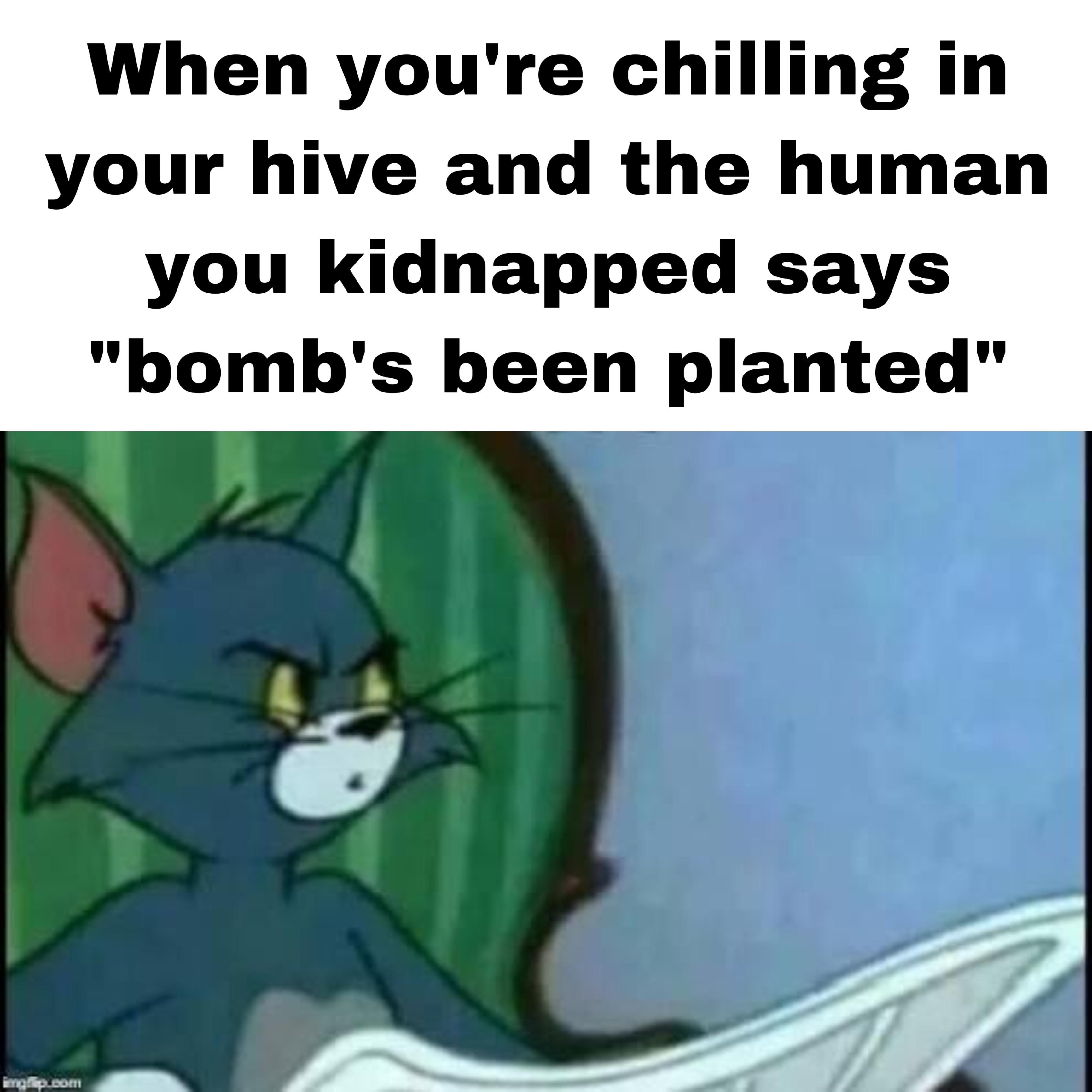 Pure magic, m8 | Scrolller