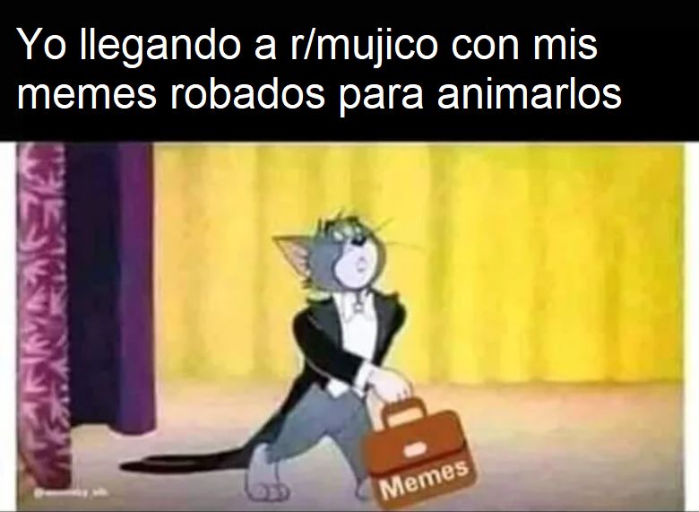 Puro Shitposting de Calida | Scrolller