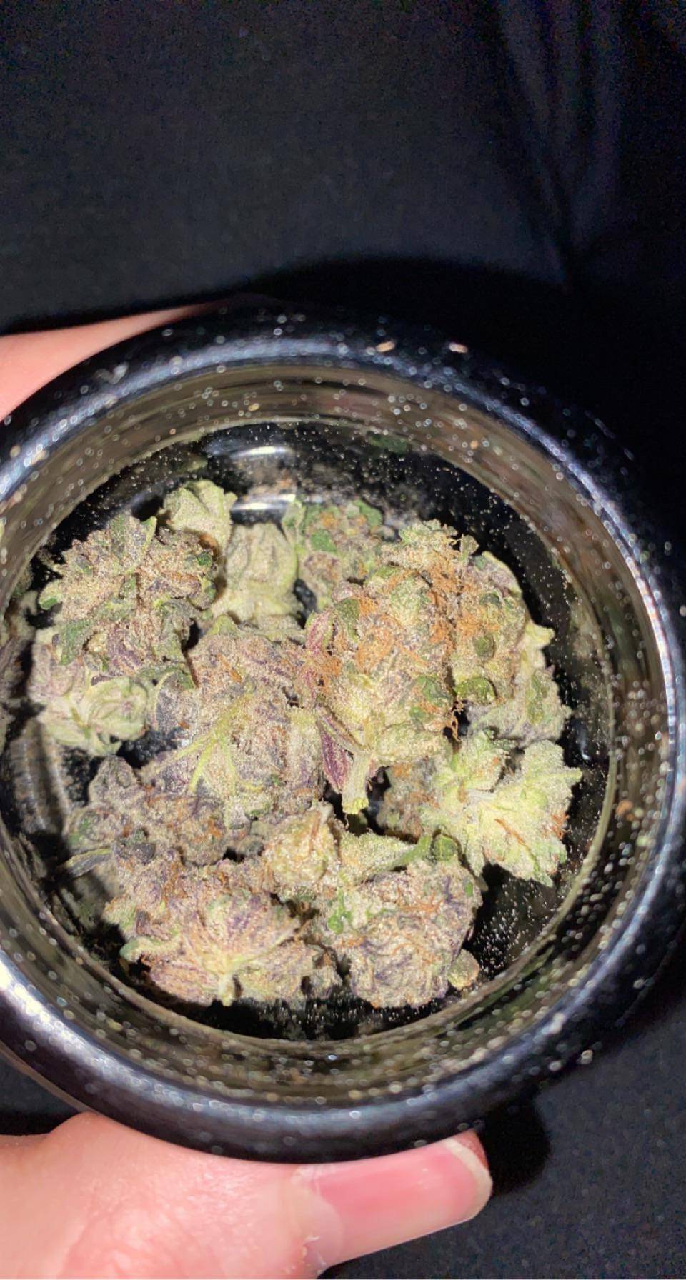 purple haze 🤲🏻 | Scrolller