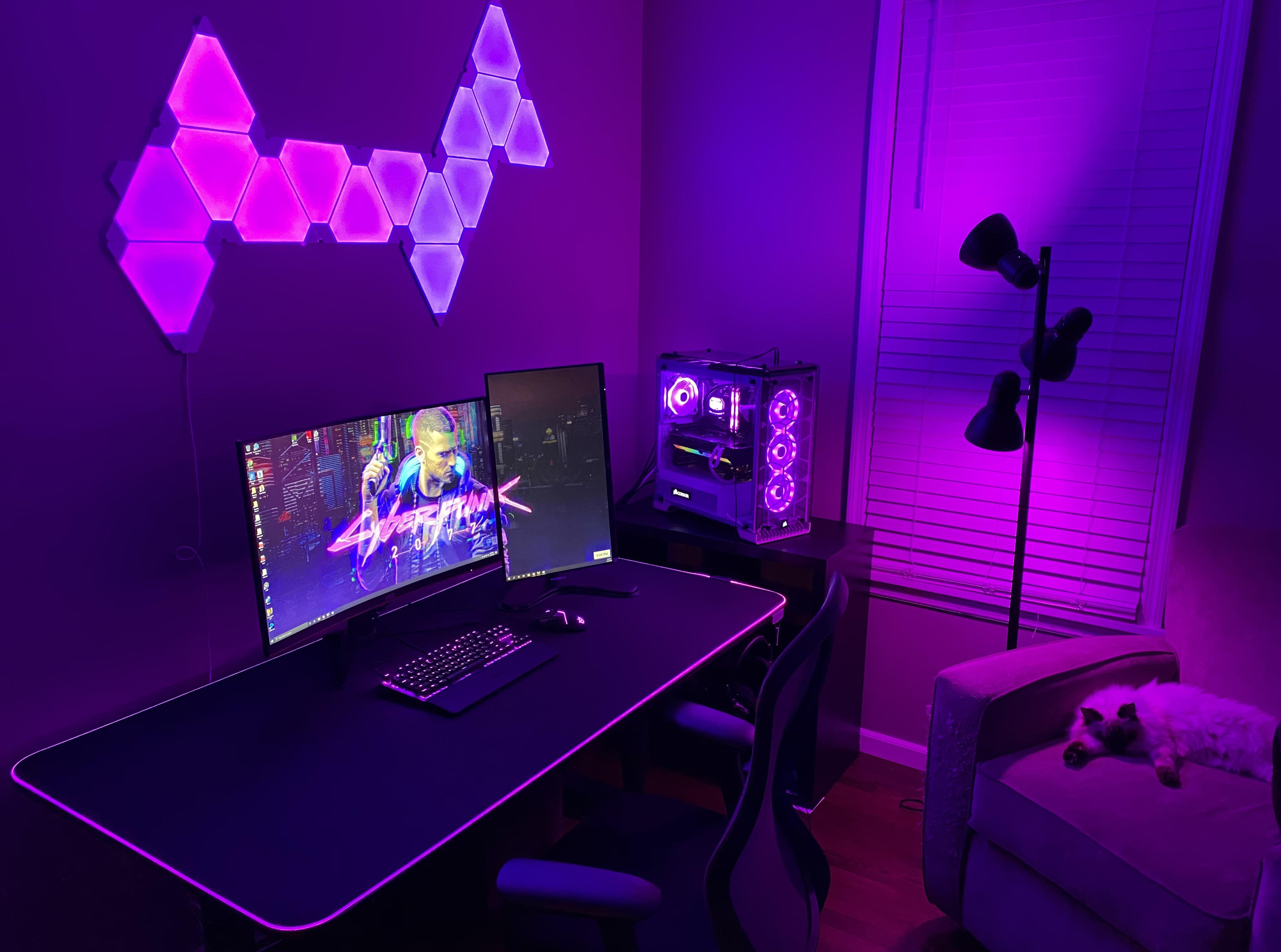 Purple haze | Scrolller