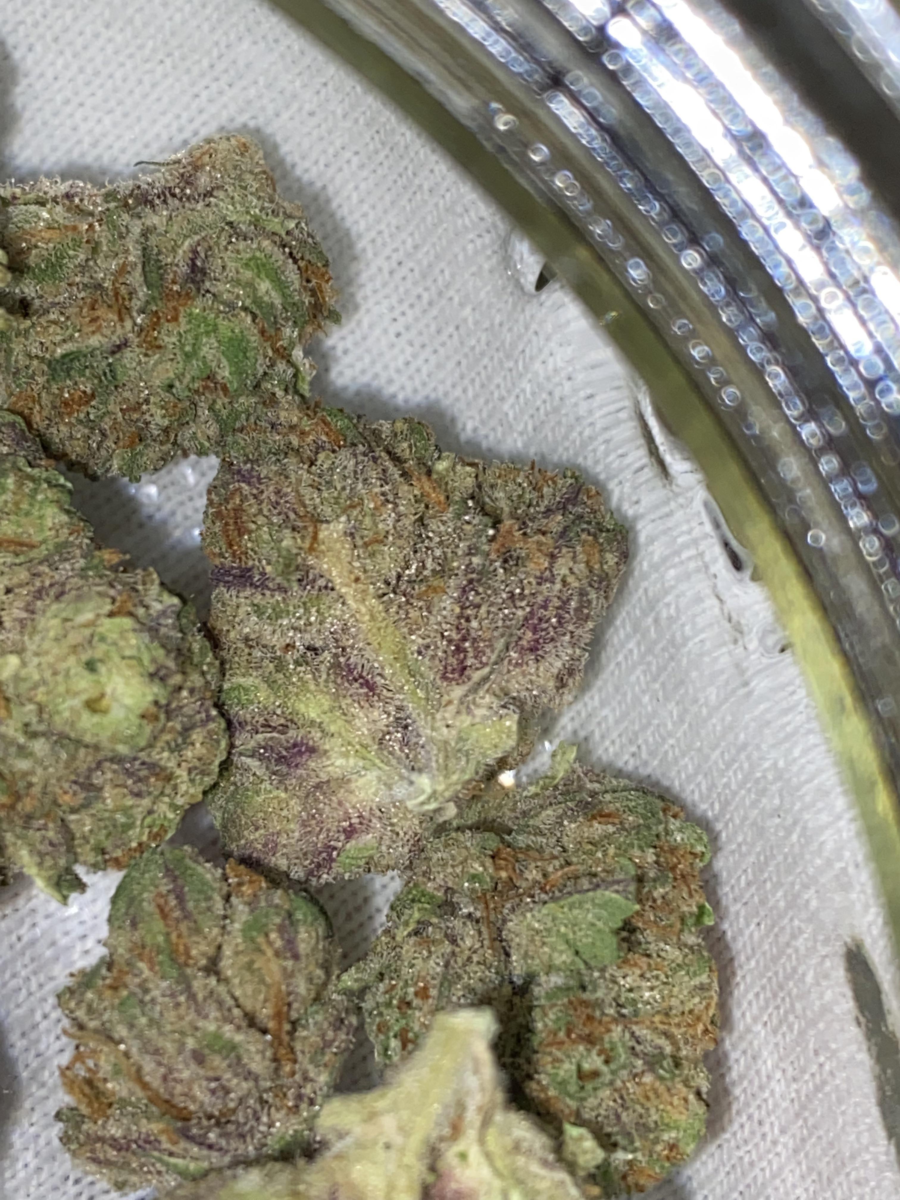 Purple Kush | Scrolller